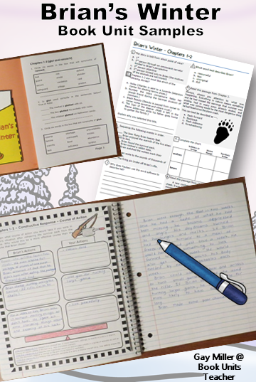 Brian's Winter Activities - Book Units Teacher
